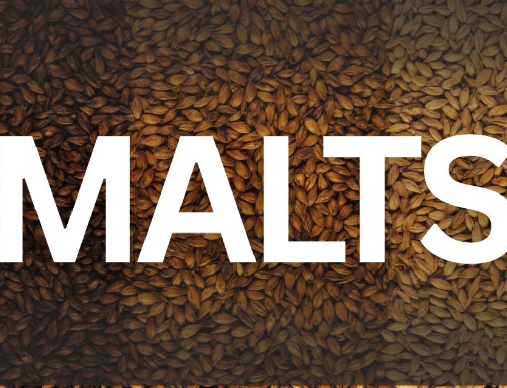 How to Choose the Right Hops for Brewing the Best Quality Beer – Brew ...